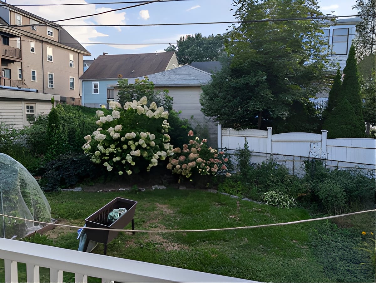 Housemate wanted for 1st fl condo, $800, Boston, Boston, United States ...