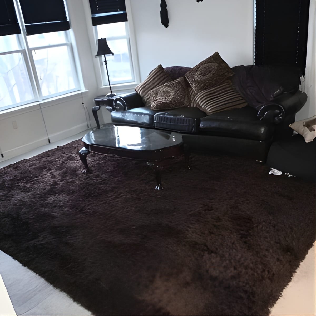 Modern, Spacious & Beautiful Condo to Share!, $1000, Boston, Boston ...