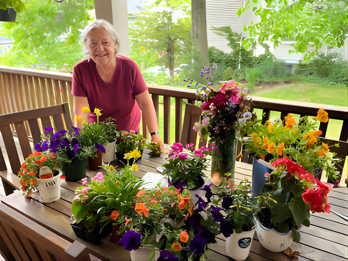 JP Nest, $1000, Boston, Boston, United States | room for rent in Boston ...